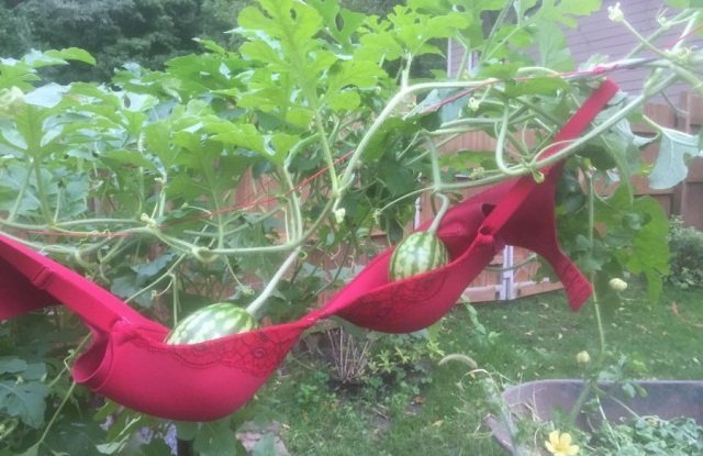 Парад гениев или 13 крутых идей